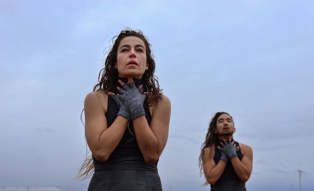 Haven – Collection Regards Hybrides