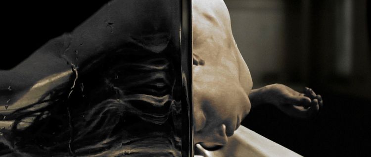 Danse Macabre – Collection Regards Hybrides